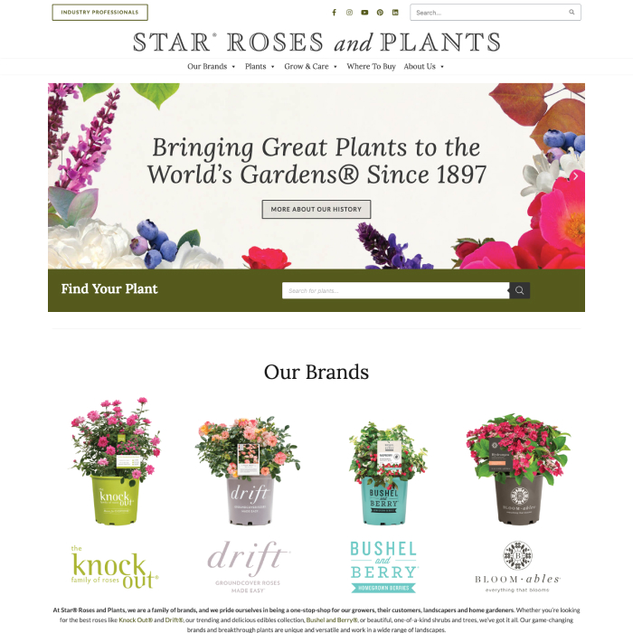 Conversion Rate Optimization Services | Leading CRO Agency